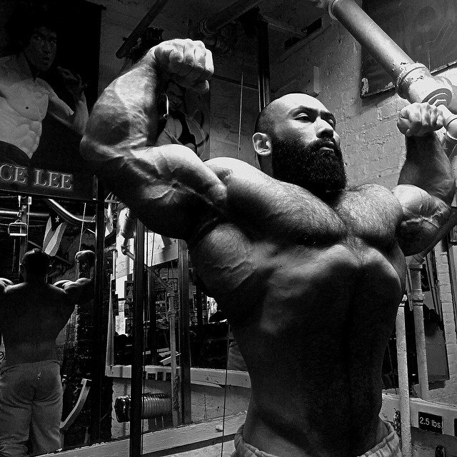 Jason Huh IFBB Pro - Forum SFD - strona 62